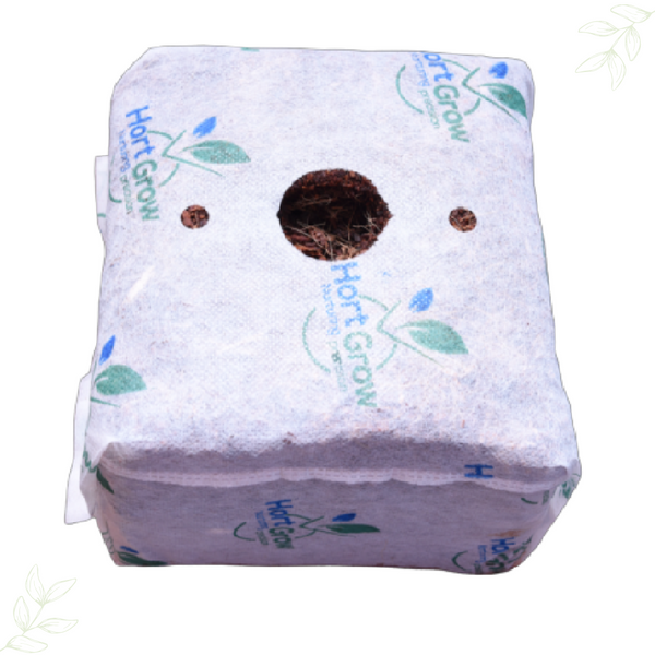 Get your coco grow cube online – HortGrow Solutions
